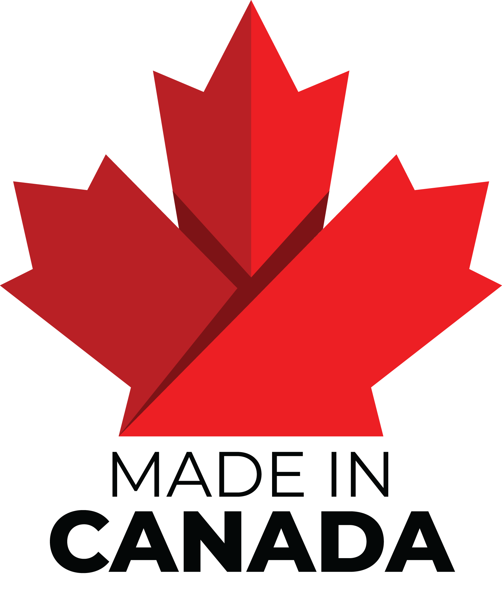Levitt-Safety | Made in Canada